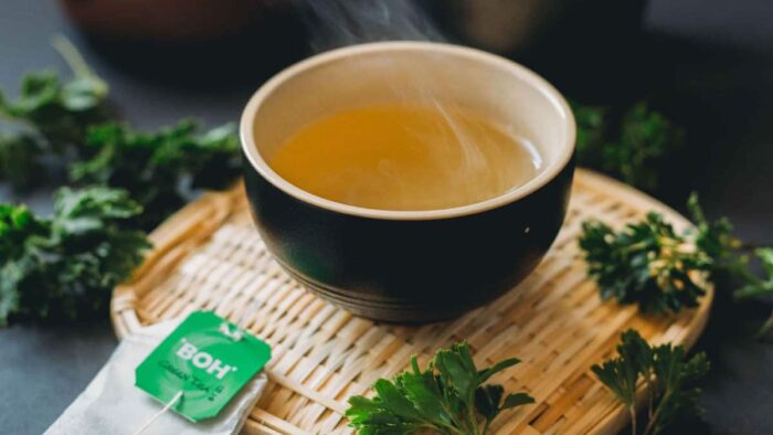 What Is Green Tea? A Complete Beginner’s Guide