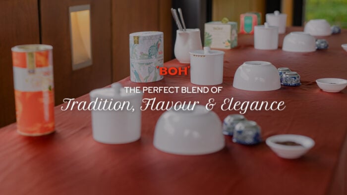 BOH Tea Gifts Are The Perfect Blend of Tradition, Flavour, and Elegance